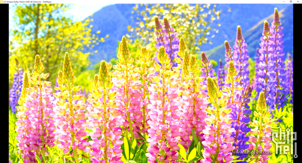 Pot-Player第一版原生杜比视界映射到SDR，亮度严重过曝 - 电脑讨论(新) - Chiphell - 分享与交流用户体验