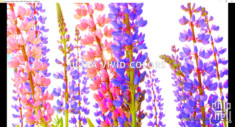 Pot-Player第一版原生杜比视界映射到SDR，亮度严重过曝 - 电脑讨论(新) - Chiphell - 分享与交流用户体验
