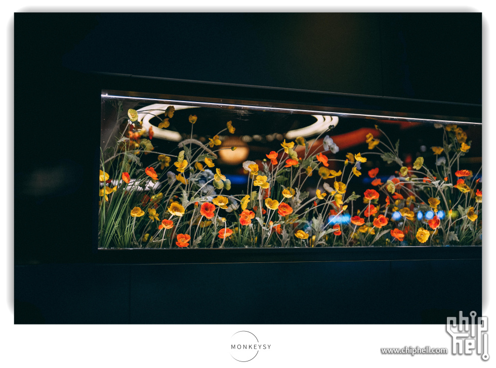 2025年末的礼物--索尼a7m5快速体验 - 原创分享(新) - Chiphell - 分享与交流用户体验