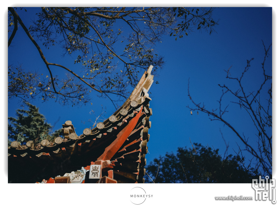 2025年末的礼物--索尼a7m5快速体验 - 原创分享(新) - Chiphell - 分享与交流用户体验