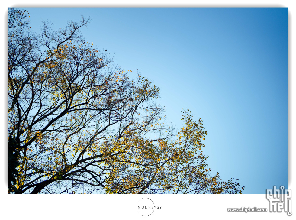 2025年末的礼物--索尼a7m5快速体验 - 原创分享(新) - Chiphell - 分享与交流用户体验