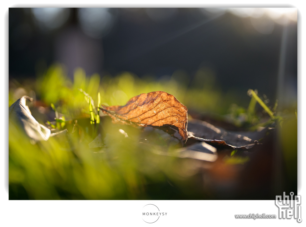 2025年末的礼物--索尼a7m5快速体验 - 原创分享(新) - Chiphell - 分享与交流用户体验